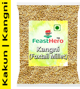 Feasthero Best Quality Kangni sabut (Foxtail Millet Whole Grain ) -500g ...