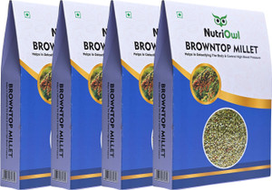 NutriOwl BrownTop Millet Grains|Natural Grains | Andu Korralu | Korale ...