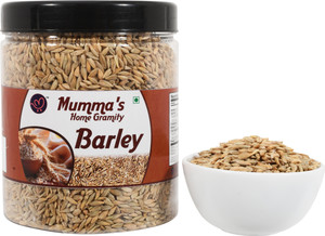 Mumma's home gramity Organic Barley Seeds 500g | Raw Jau | Low Glycemic ...