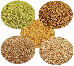 PMW 5 Different Millets Combo - Each 250 Grams Kodo Millet Price in ...