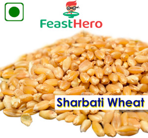 Feasthero PREMIUM SHARBATI WHOLE WHEAT GRAIN, Whole Wheat Sharbati ...