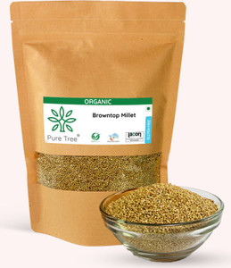 Pure Tree Certified Organic Browntop Millet | Hari Kangni | Korale ...
