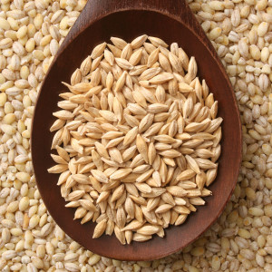 FreshTrain Organic Raw Barley Seeds | Jau Beej | Barley Grain | Natural ...