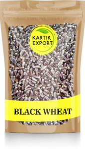Kartik Export Whole Black Wheat Seeds - Kala Gehu - Seeds for Eating ...