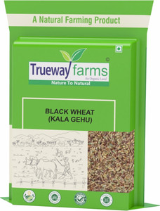 Trueway farms Organic Black Wheat (Kala Gehu) Whole Wheat Price in ...