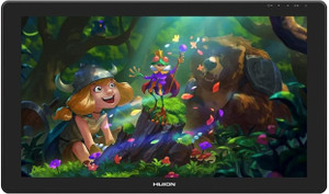 HUION RDS-220 KAMVAS Pen Display 21.5 x 12.7 inch Graphics Tablet ...