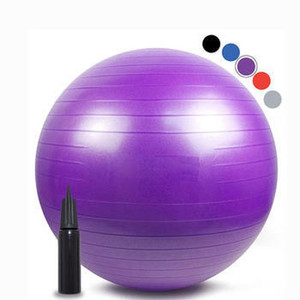 trakoz Mini Exercise Ball, 9 Inch Small Gym Ball with Inflatable Straw ...