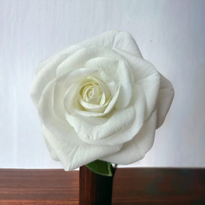 MICLAC Women white Hair clips for party wear,White Rose clips for women ...