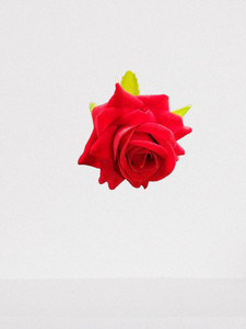 house of common Red Rose Hair Pins-1 Hair Pin Price in India - Buy ...