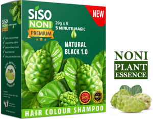 SISO Premium Noni Black Hair Colour Shampoo 20g Pack of 6 | Ammonia ...