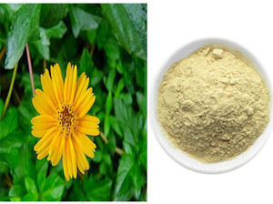 VIVETHAN Manjal karisalankanni powder , GREEN - Price in India, Buy ...