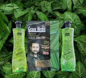 Grass Herbs Richest Gel Based HAIR COLOR Dye. Fruit Extract Long ...