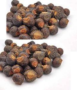 Hansi Reetha Whole Dried , Natural 150 Grams (kunkudukayalu) - Price in ...