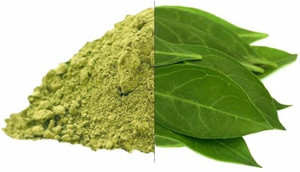 Top Quality Store Khadi Indigo Powder For Hair, Black - Price in India ...