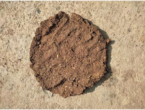 JANKIVALAV Organic Handmade Gobar Upla/uplay Cow/Kande/Cow Dung Cake ...