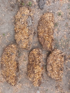 Gobar ke upale RG HAVAN Price in India - Buy Gobar ke upale RG HAVAN ...