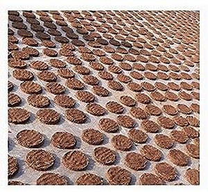 Omigo Organic Handmade Dry Uple Cow Dung Cakes [Gober] (Pack of 12 ...