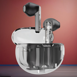 PTROX Transparent TWS Earbuds with 100 HRS Playtime, Bluetooth v5.3 A25 ...