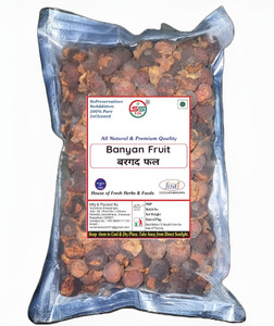 SS520 Dry Bargad Phal 200g. Banyan Bargad Fal Vat Phal Aalamvidhai ...