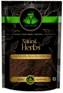 SAI HERBS Calotropis Procera Powder - Apple of Sodom Powder - Giant ...