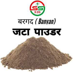 SS520 Banyan root Powder (bargad jata powder) 50g Price in India - Buy ...