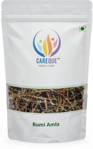 CareQue Bhumi Amla Herb - Bhoomi Awla - Phyllanthus Niruri - Fillanto ...