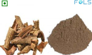 FOLS PREMIUM BANYAN BARK POWDER | BARGAD KI CHAAL CHURN Price in India ...