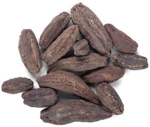 CareQue Samundar Phal -Samudraphal-Barringtonia Acutangula -Samudra ...