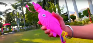 TOTA Squeeze Fish Water Holi Gadget Holi Color Powder Pack of 1 Price ...