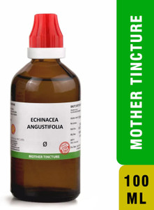 Bjain Echinacea Angustifolia Q Mother Tincture Price in India - Buy ...