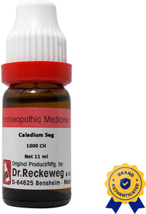 Dr. Reckeweg Caladium Seg 1000 CH Dilution Price in India - Buy Dr ...
