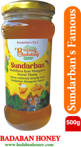 Badaban Sundarban Multiflora Mangrove Forest Honey 500g Price in India ...