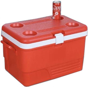 N H Enterprise 35 L Plastic Advance Technology Ice Chiller box With Cup ...