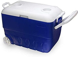 GEE ENTERPRISES 50 L Plastic Princeware 3487 Insulated Ice Box 50 Ltr ...