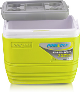 PINNACLE 32 L Plastic PRIMERO ICE BOX 32 LTR GREEN Ice Bucket Price in ...