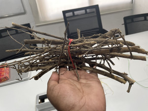 Maa Bhagawati Shami ki Lakdi, Pooja Hawan Stick, Havan Kund Sticks ...