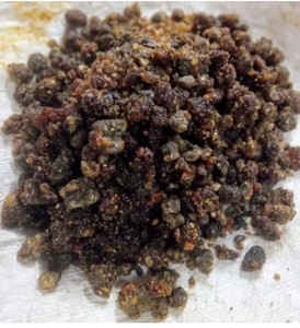 Riddhi Store Natural Guggal for Pooja | Gugal Dhoop Commiphora for ...