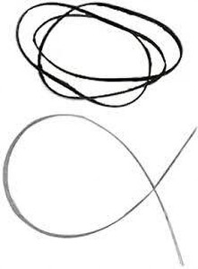 HipponixTech Original Timing Belt with CR Encoder Epson L3110,L3115 ...