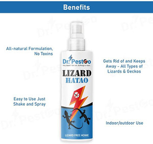Dr.PestGo lizard repellent for home best Lizard Shield Lizard Repellent ...