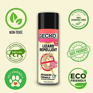 gecko Aerosol Based Lizard Spray| Herbal Repellent Spray| Eco-Friendly ...