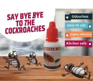 REGLET Cockroach Eliminator All killer gel easy to use - Buy Baby Care ...