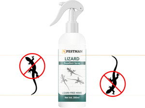 pestman Lizard Spray - Non-Toxic | Not a Lizard Killer | Effective ...