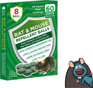 ANAND ENTEERPRISE Rat Repellent Spray For Car & Home | rat trap rat ...