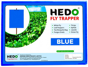 HEDO Blue Insect Catcher Sheet To Control Thrips, Aphids& Whitefly Pack ...