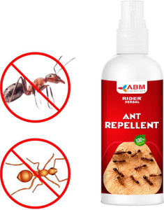 RIDER Ant Repellent Spray, ant killer spray, ant killer powder, ant ...