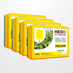HEDO Yellow Insect Catcher Sheet/Trap To Control Thrips, Aphids ...