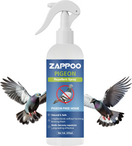 Glexus Bird Repellent Spray | Pigeon Repellent Spray | Home, Balcony ...