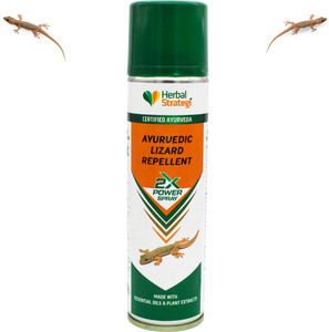 HERBAL STRATEGI Lizard Spray Non-Toxic, Effective Lizard Repellent, Not ...