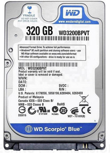 WD BLUE SP 320 GB Laptop Internal Hard Disk Drive (HDD) (WD320CX-21VP ...