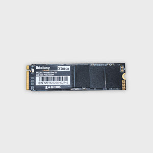 Intelaxy NVMe M.2 SSD 256 GB Laptop, Desktop Internal Solid State Drive ...